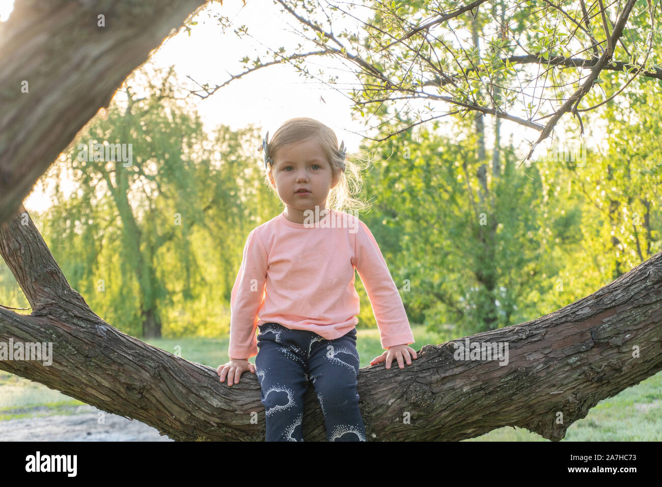 Portrait of little girl sitting on branch of tree Stock Photo - Alamy