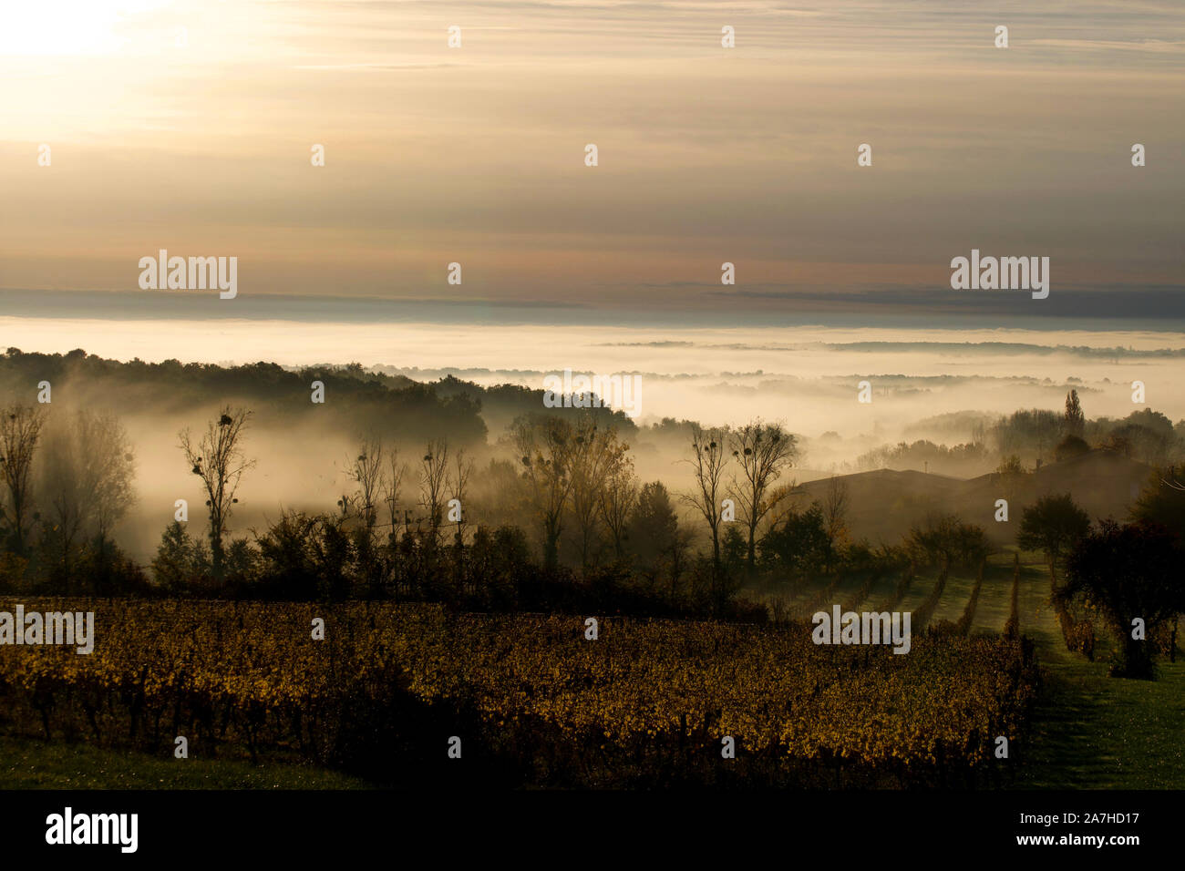 Sun over the mist in the Dropt valley looking towards Miramont-de ...