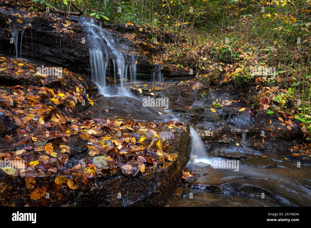 Avery creek trail hi-res stock photography and images - Alamy