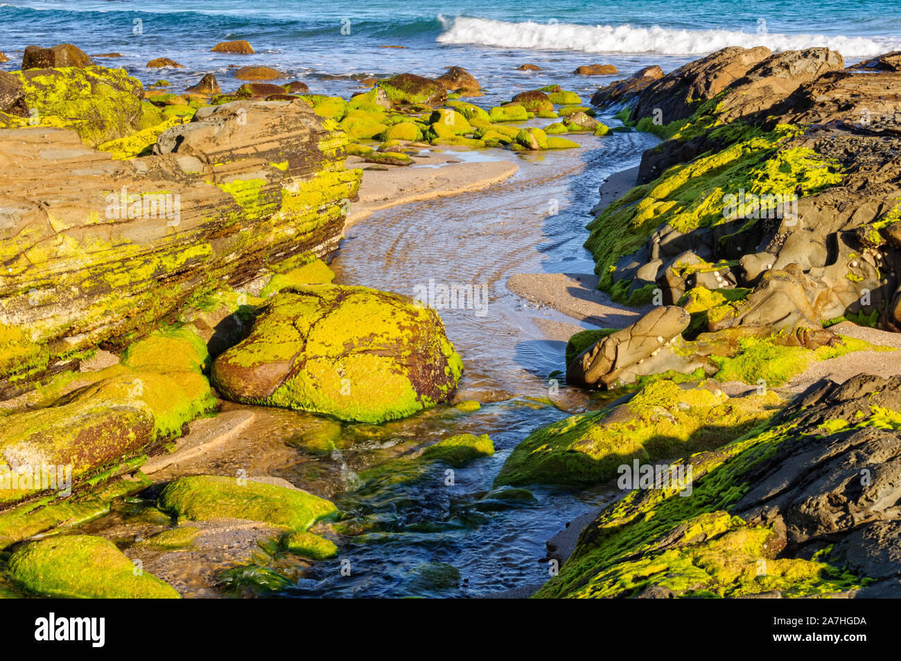 Carisbrook creek hi-res stock photography and images - Alamy