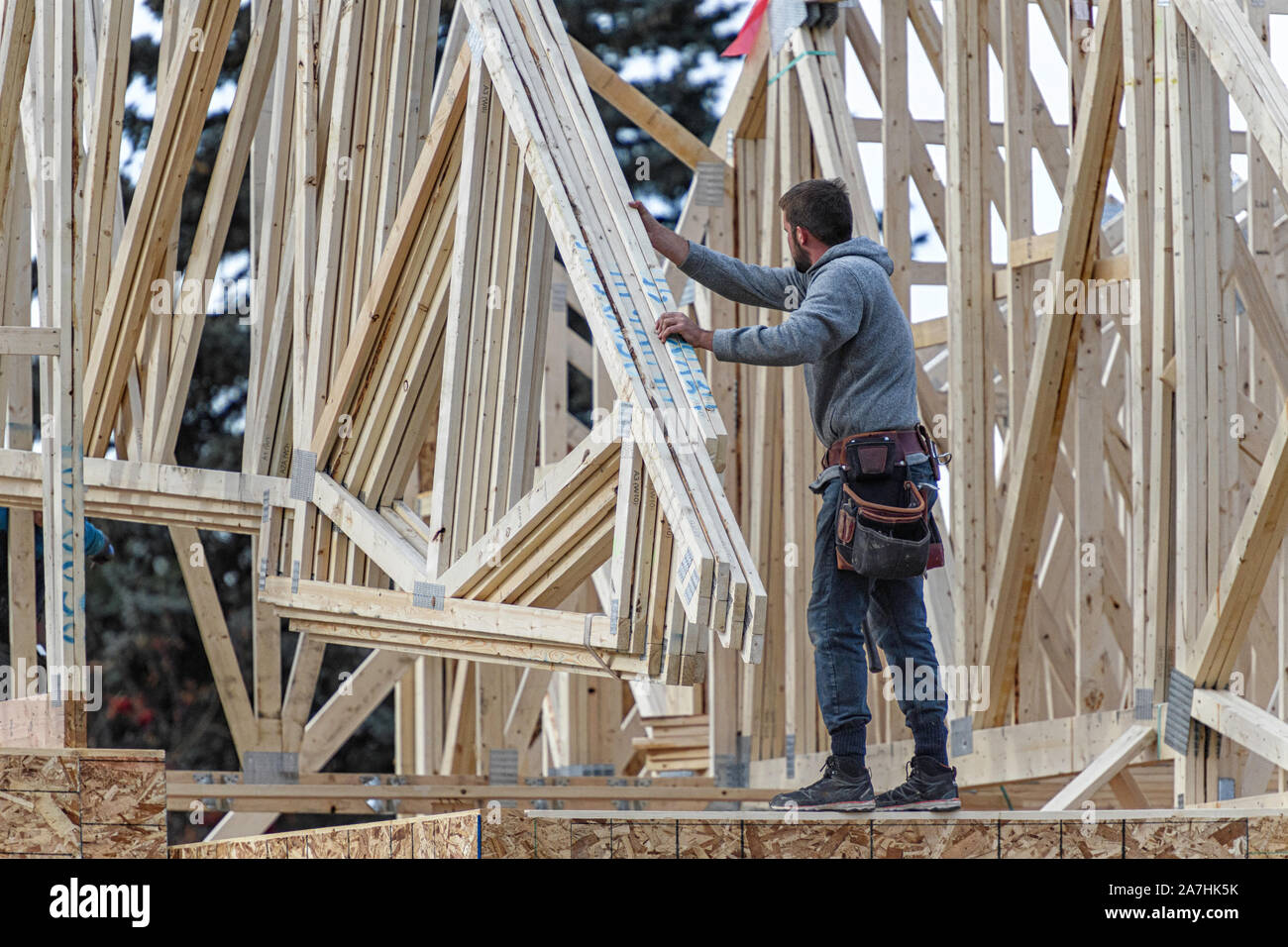 Housing construction workers installing roof trusses on a new home ...