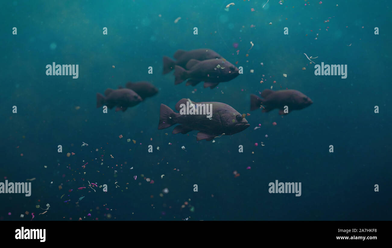 fish school between plastic pollution, micro plastic particles in ocean ...