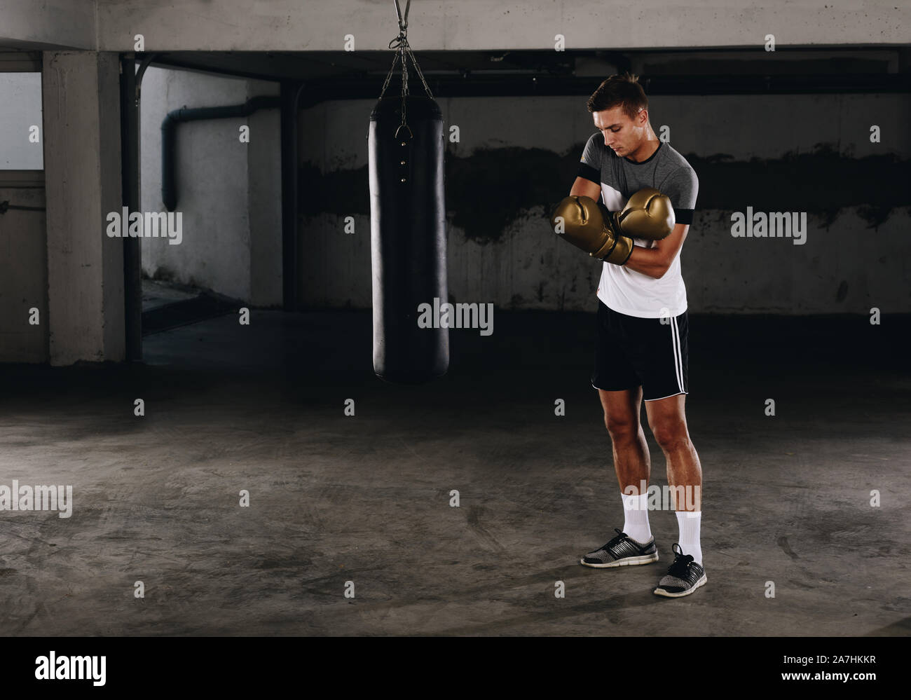 Young fighter prepare for boxing match while putting box gloves Stock ...
