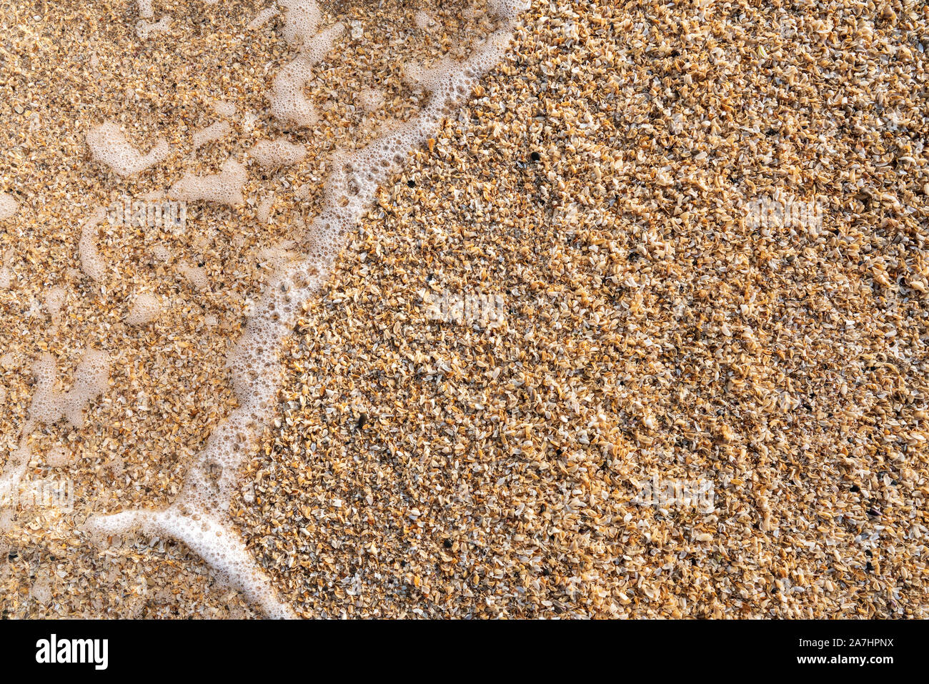 Sea shell rock background texture Stock Photo - Alamy