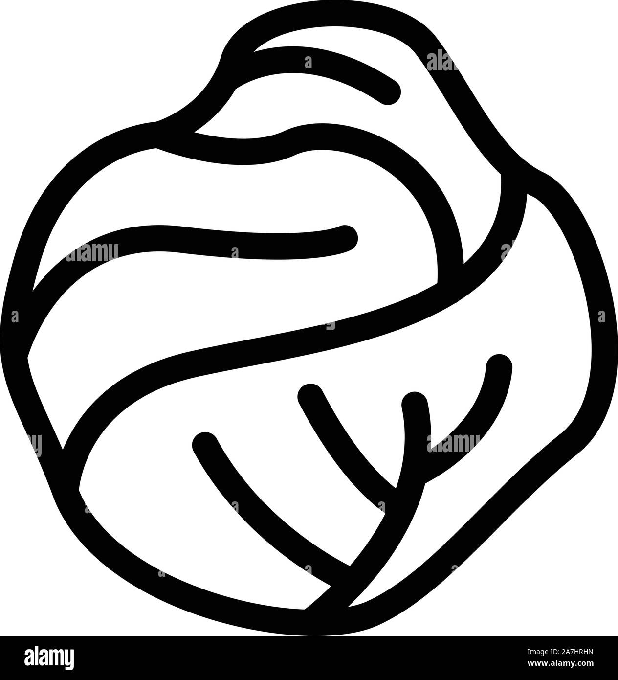 Bio salad plant Black and White Stock Photos & Images - Alamy