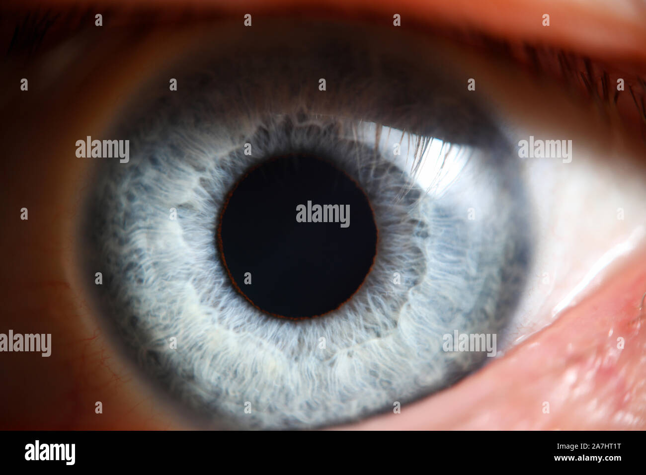 Pupil reaction to light hi-res stock photography and images - Alamy
