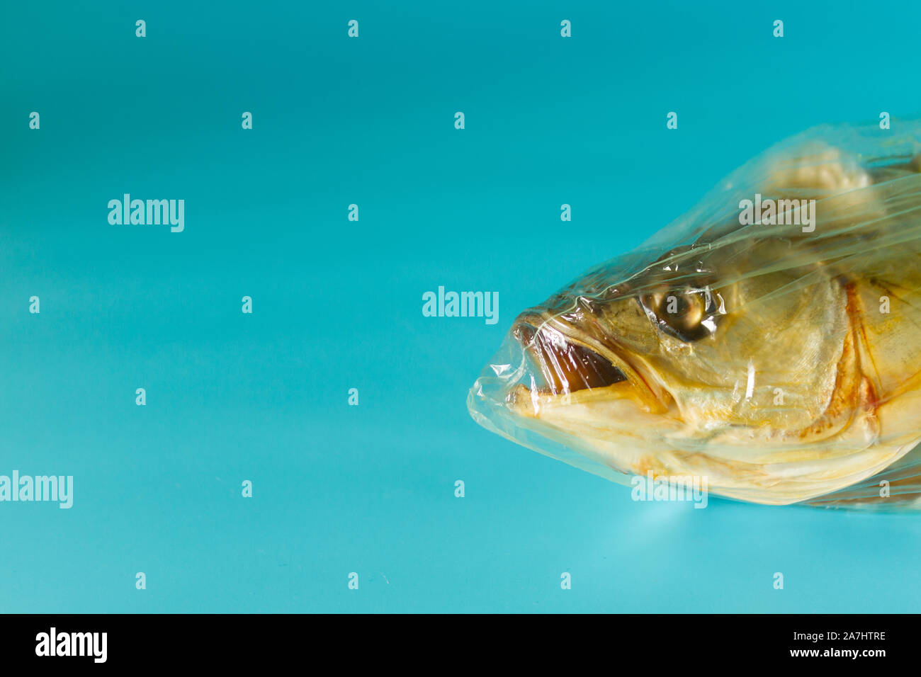 Fish inside plastic bag. Ocean pollution concept Stock Photo - Alamy