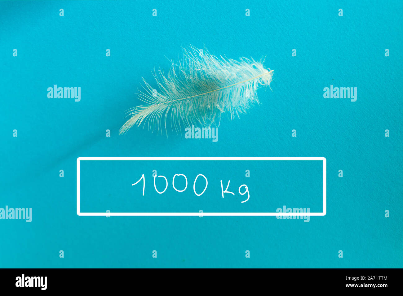 Feather on scales. Heavy feather weight ton Stock Photo - Alamy