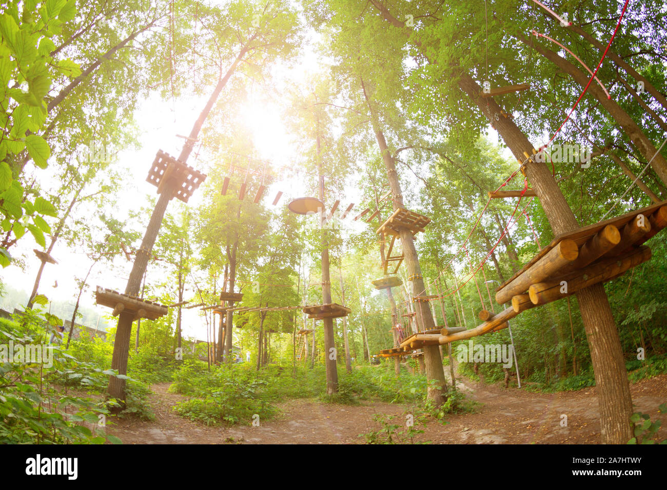 Adventure cpark in forest. Rope bridges high on trees Stock Photo - Alamy