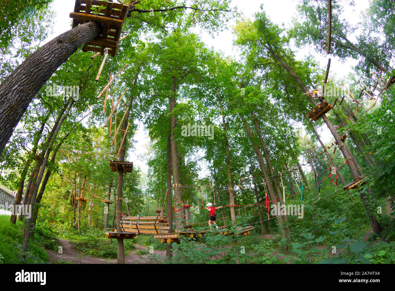 Adventure cpark in forest. Rope bridges high on trees Stock Photo - Alamy
