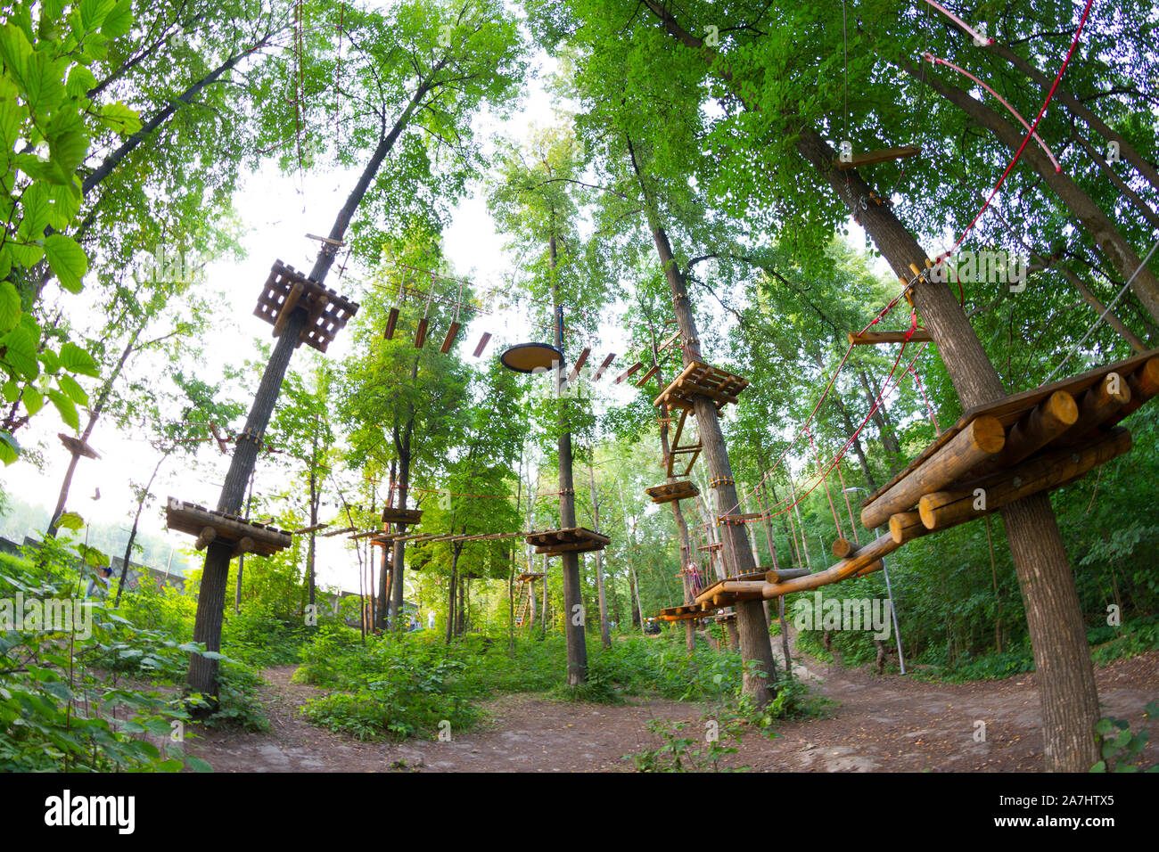 Adventure cpark in forest. Rope bridges high on trees Stock Photo - Alamy