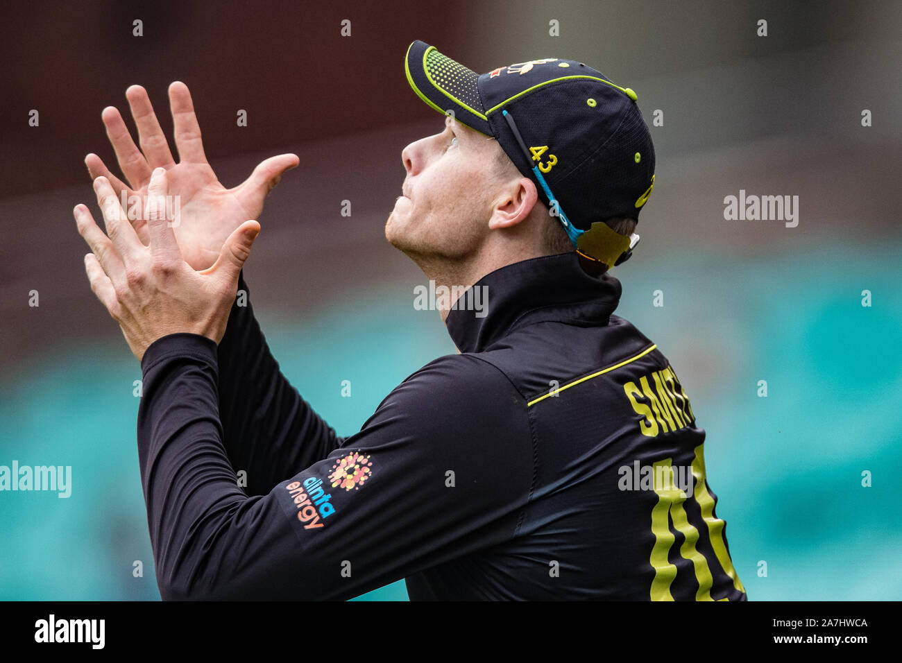 Steve smith cricket catch hi-res stock photography and images - Alamy