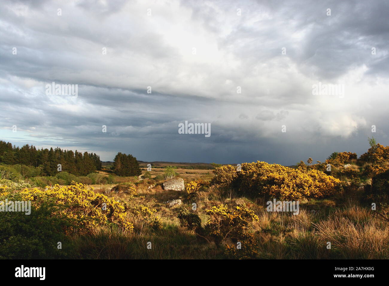 Connemara turf hi-res stock photography and images - Alamy