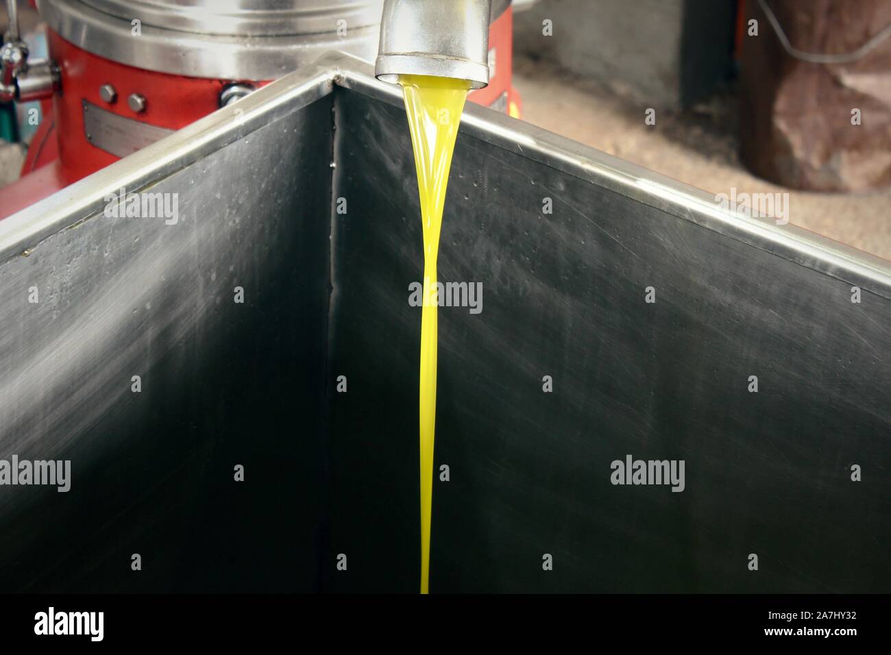Extra virgin olive oil extraction process in olive oil mill in Greece ...
