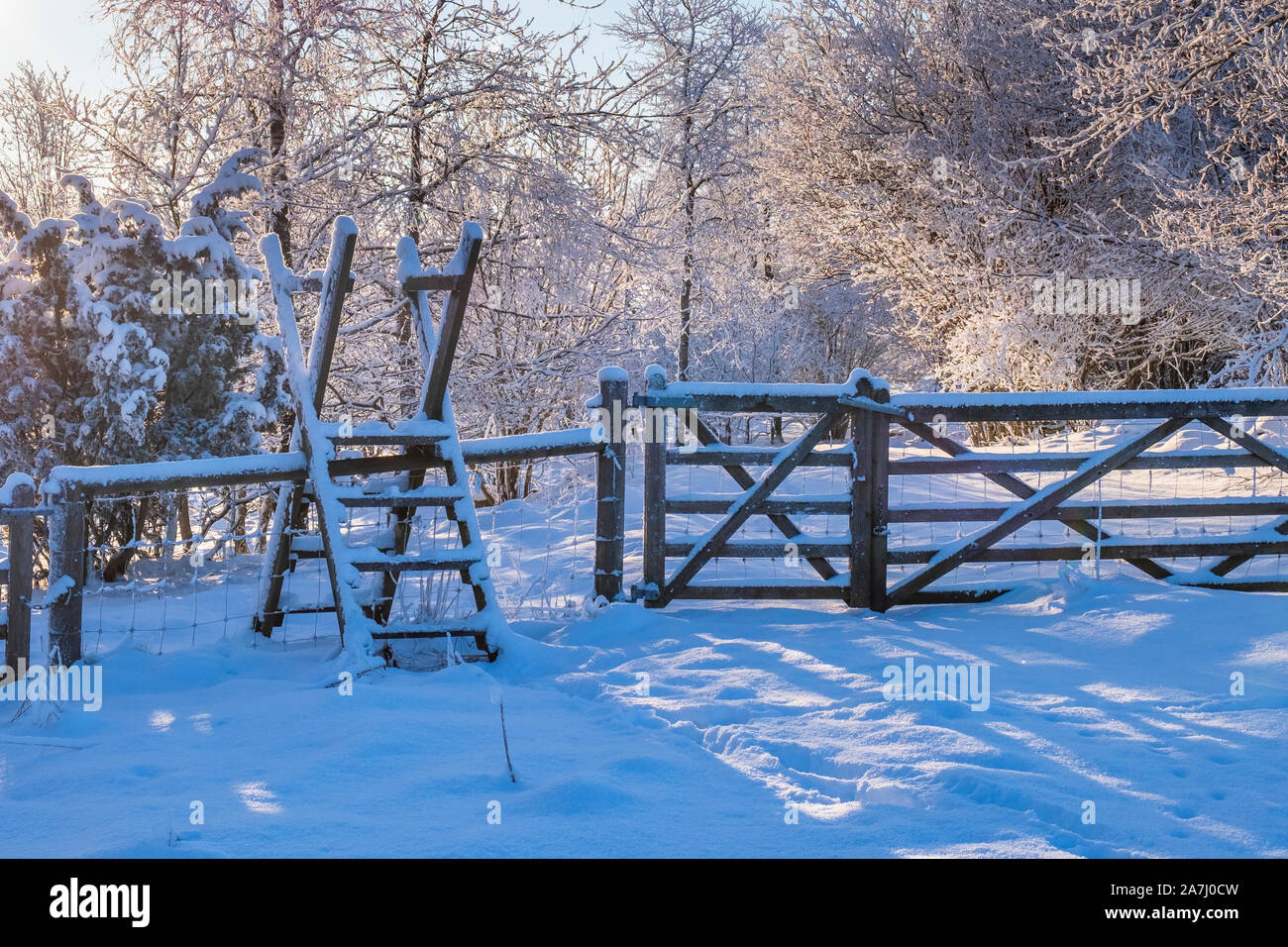 Tree path gate snow landscape hi-res stock photography and images - Alamy