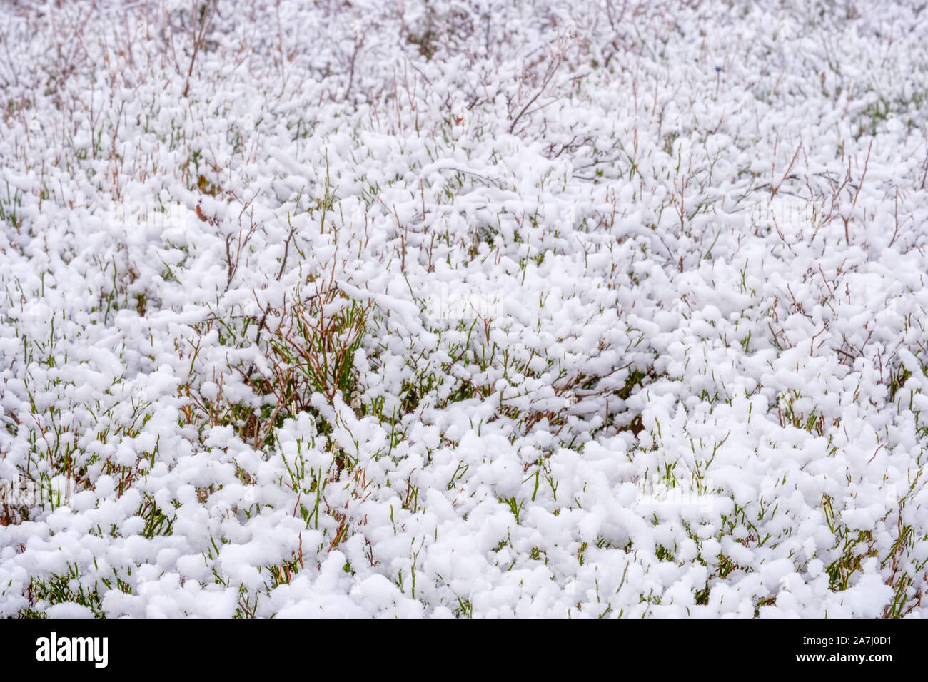 Freshly fallen snow on the ground Stock Photo - Alamy