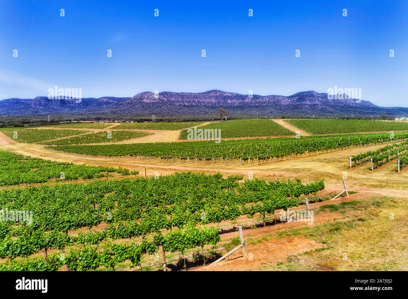 Australian winemaking hi-res stock photography and images - Alamy