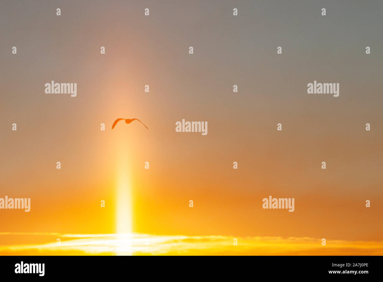 Flying through the jetty hi-res stock photography and images - Alamy