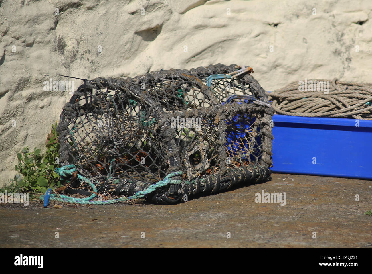 Old traditional lobster pot on the harbourside Stock Photo - Alamy