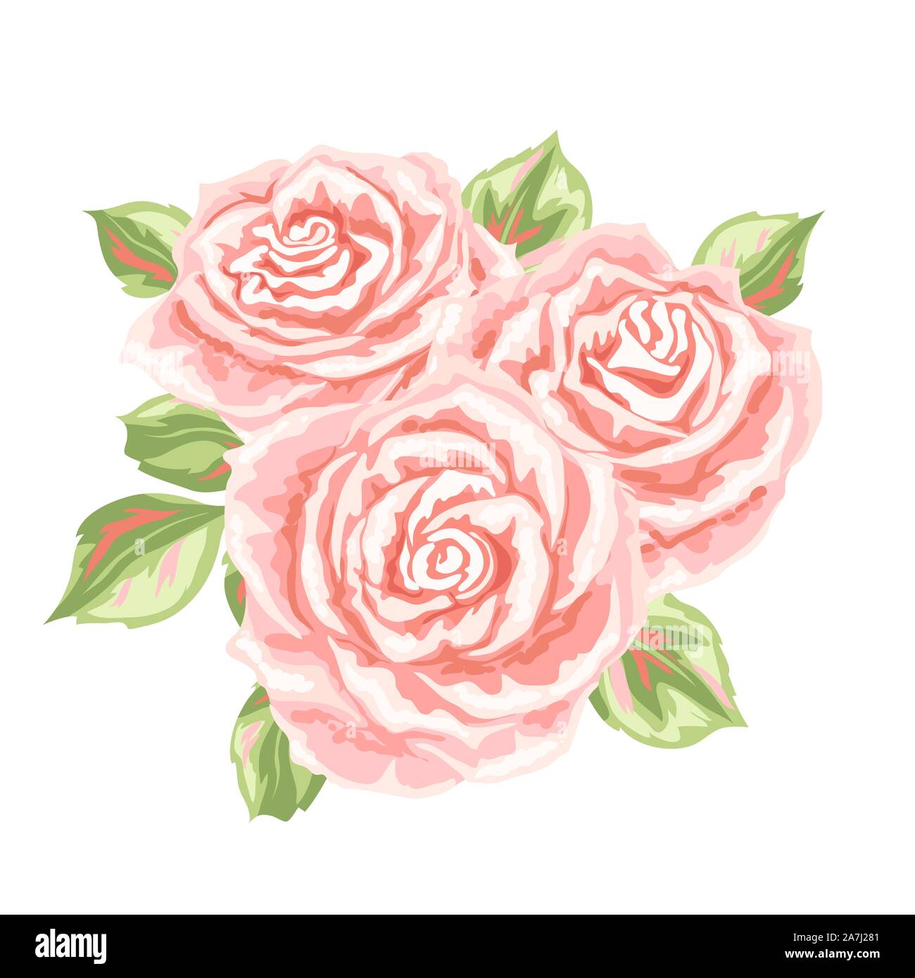 Decorative element with pink roses Stock Vector Image & Art - Alamy