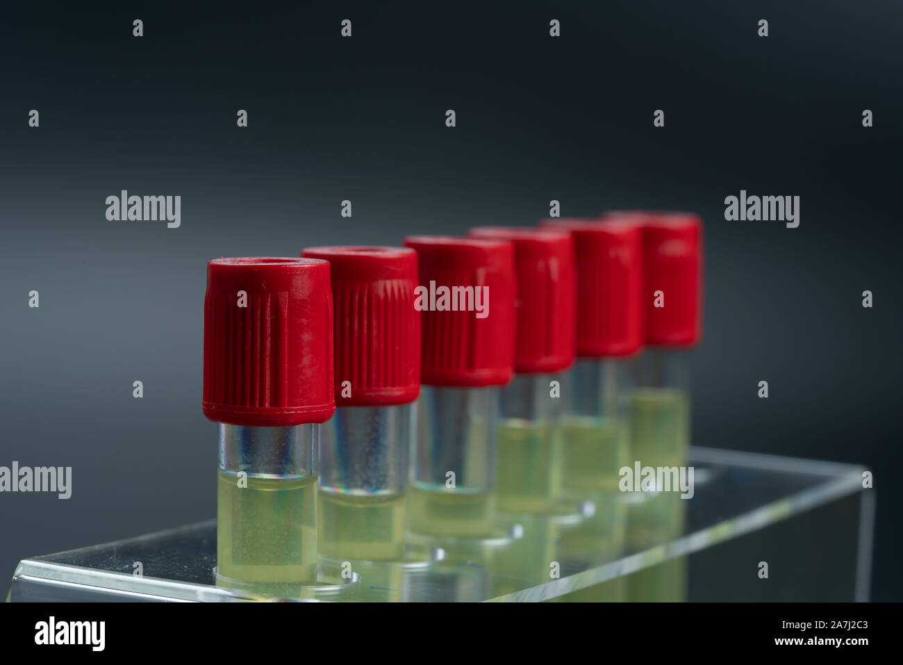 Test tubes with chemical samples in science laboratory Stock Photo - Alamy