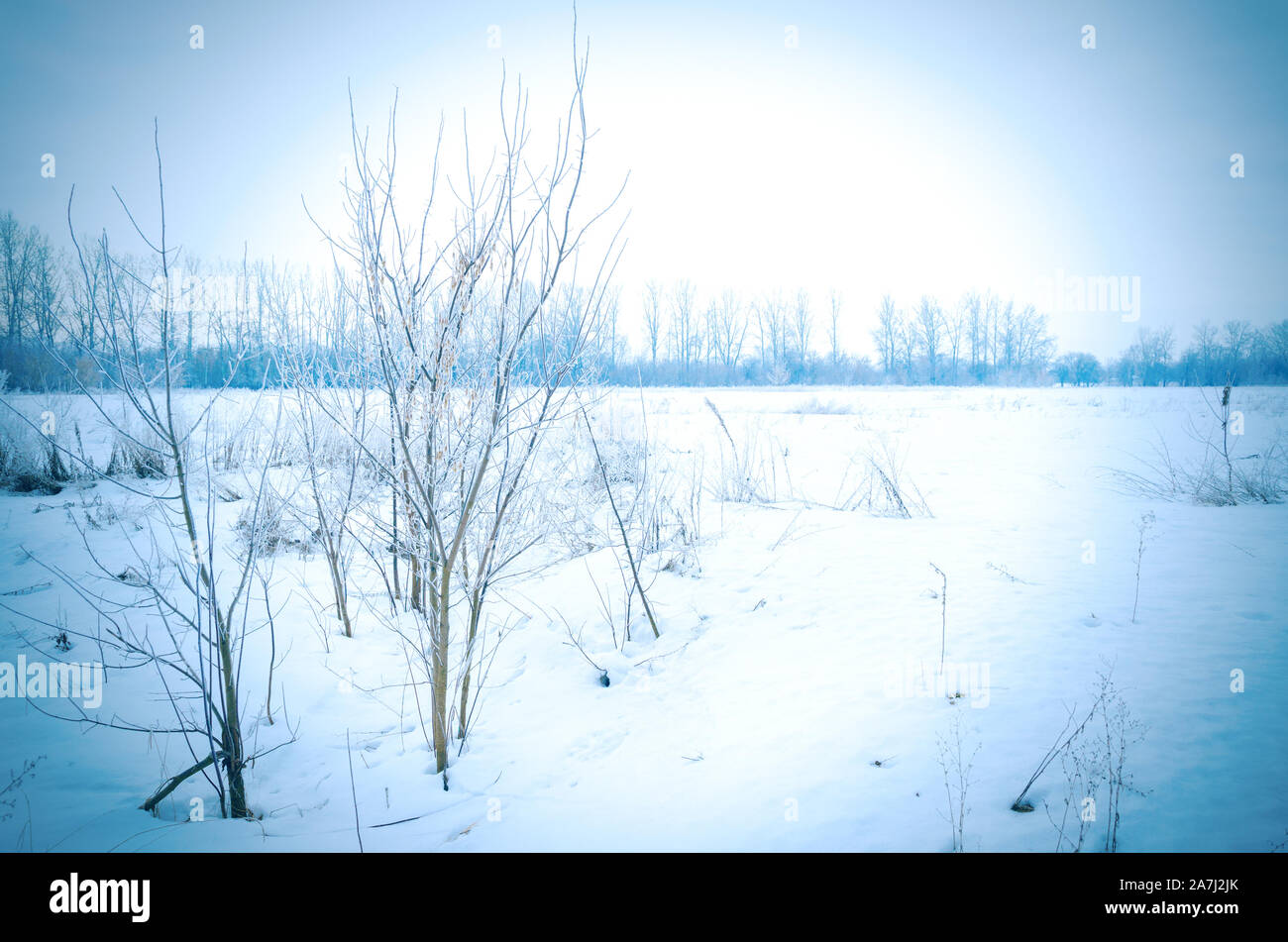 winter landscape of rural field with snow Stock Photo - Alamy
