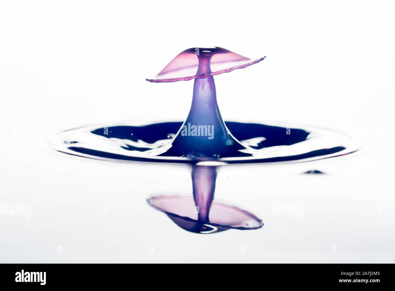 Water splash. drops collision Stock Photo - Alamy