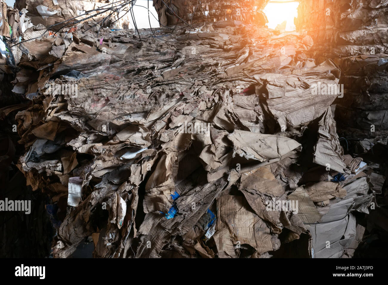 pressed cardboard, recycling and sorting of garbage in the factory ...