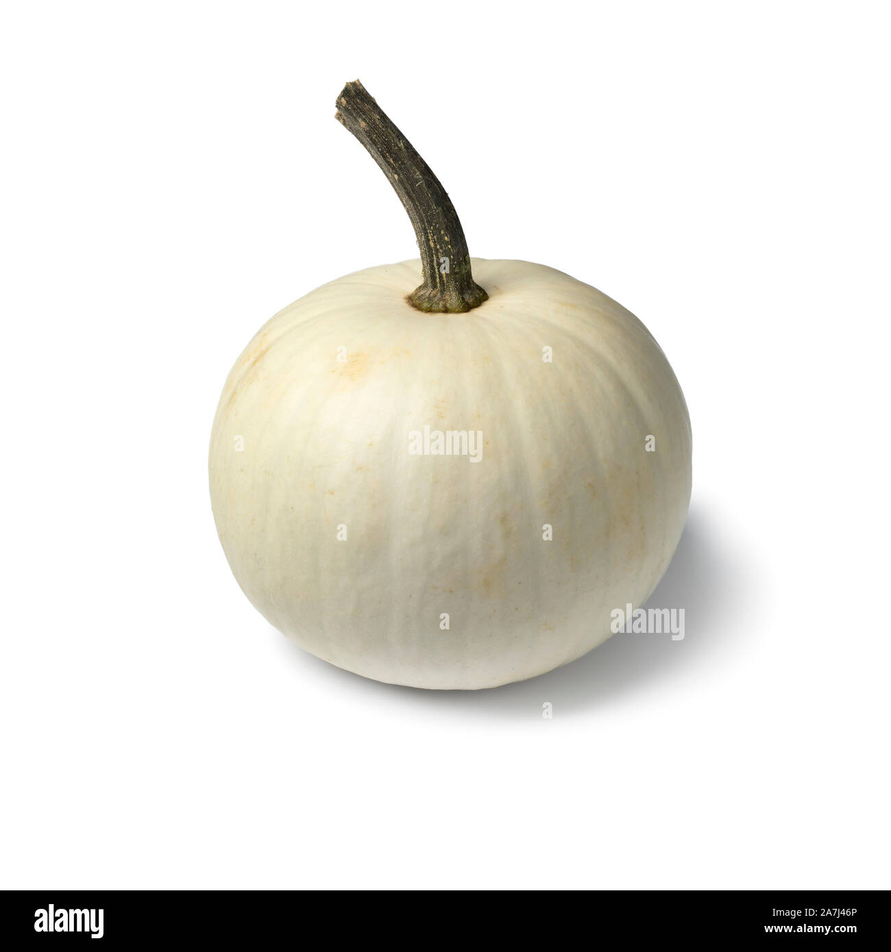Whole single white Lumina pumpkin isolated on white background Stock ...