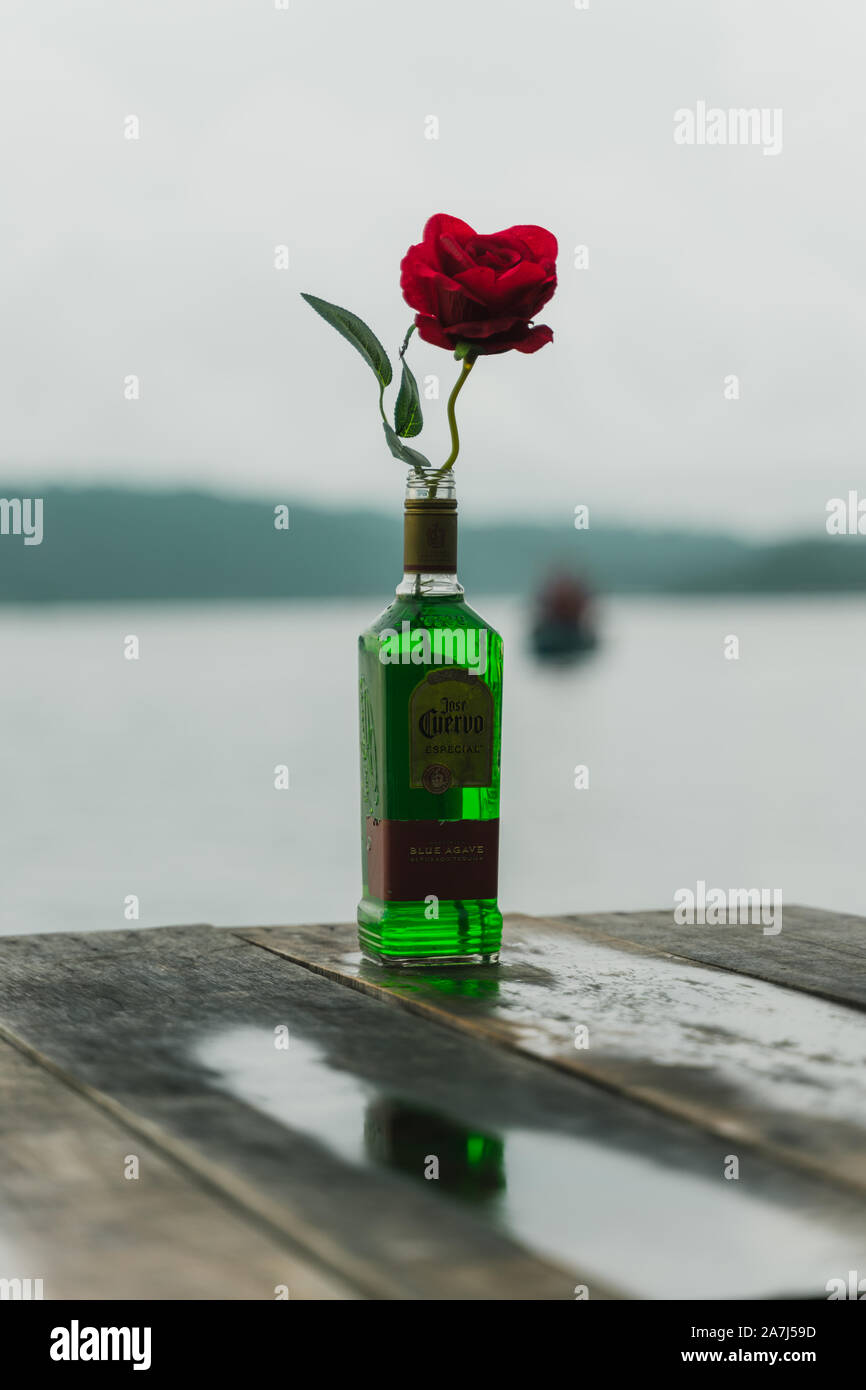 Tequila rose hi-res stock photography and images - Alamy
