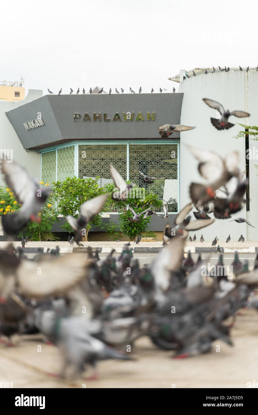 a group of black doves Stock Photo - Alamy