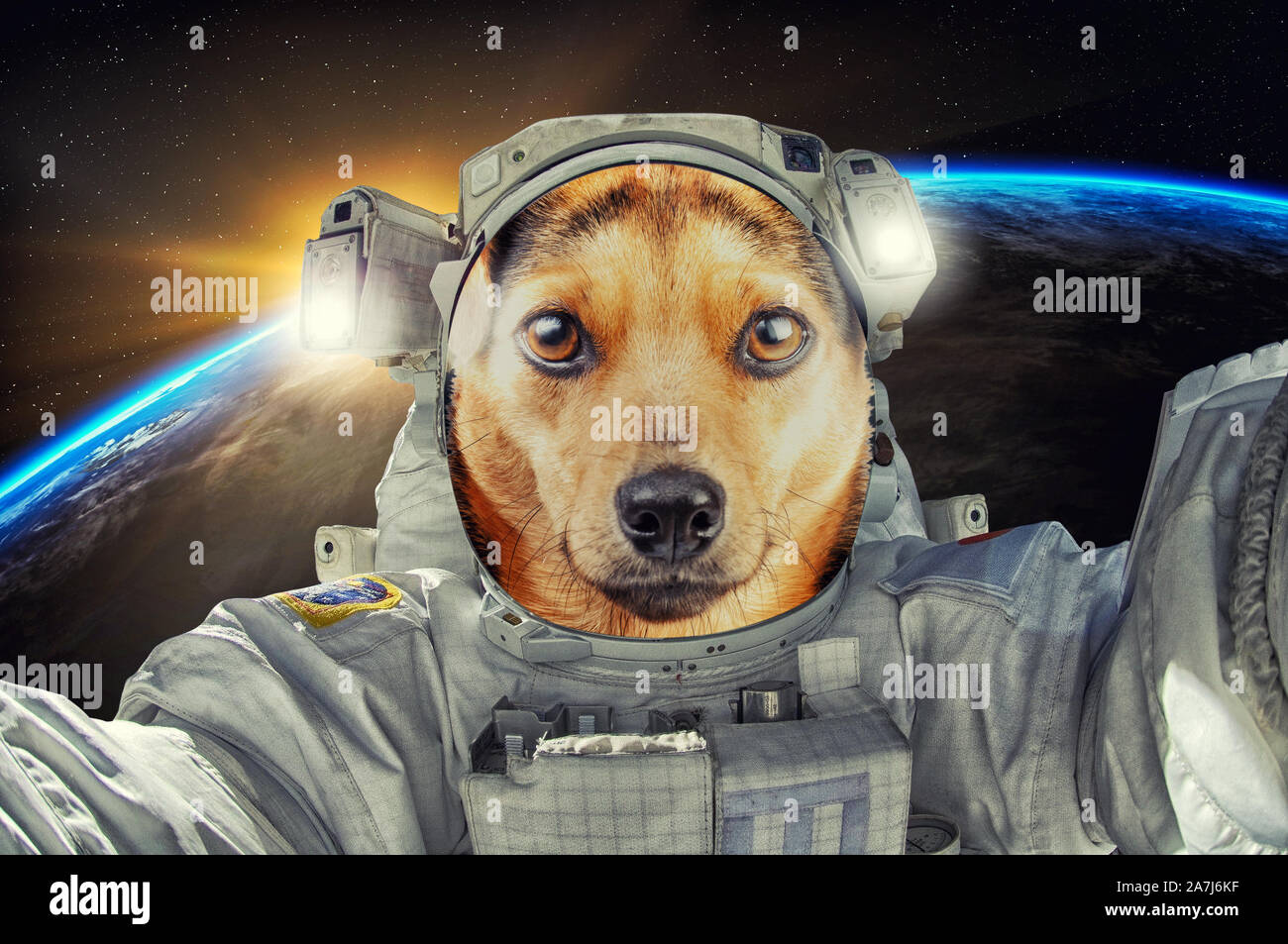 Doge Astronaut
