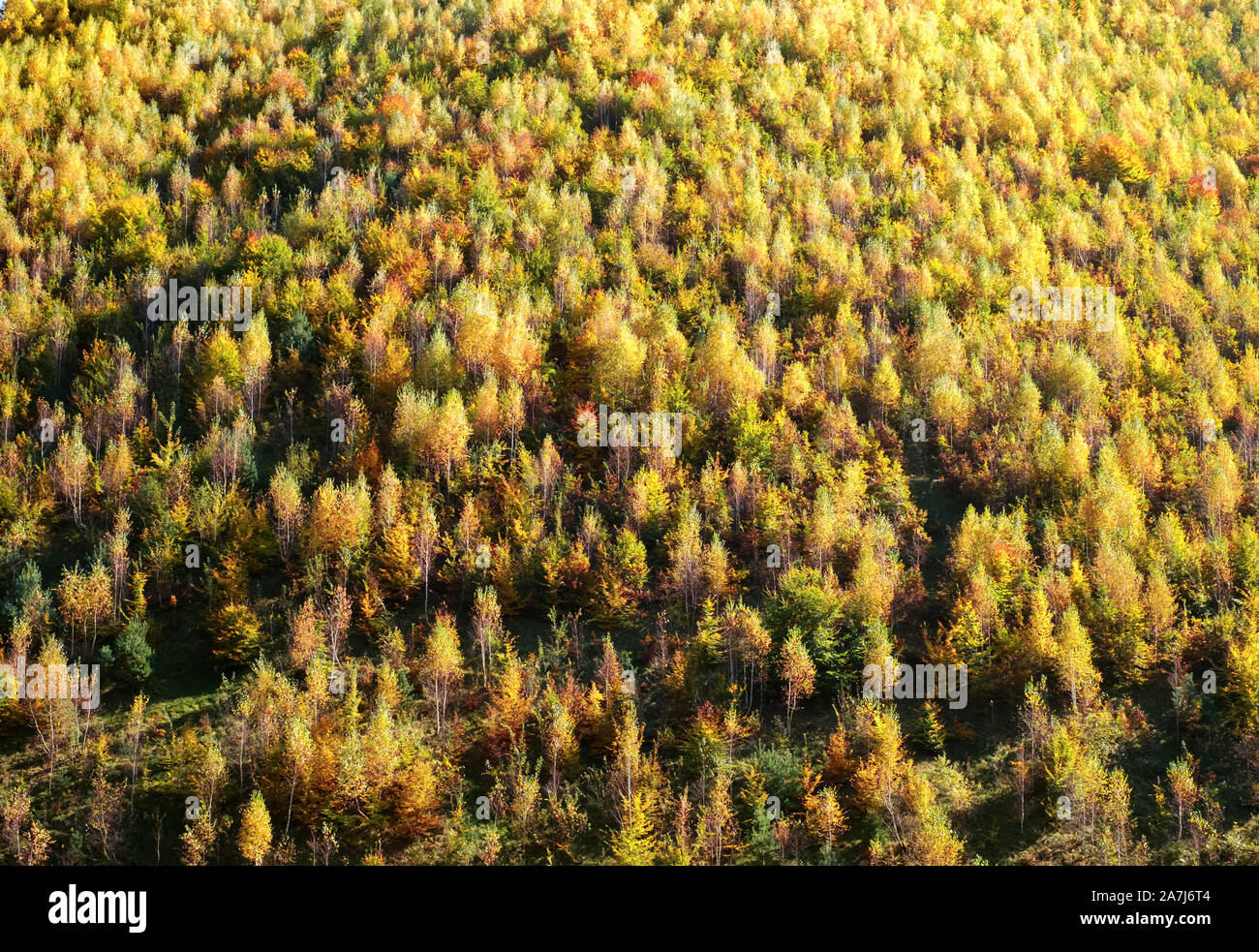 Rasinari village hi-res stock photography and images - Alamy