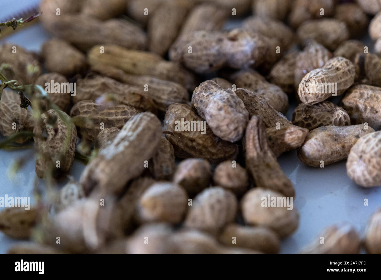 Boiled peanuts hi-res stock photography and images - Alamy