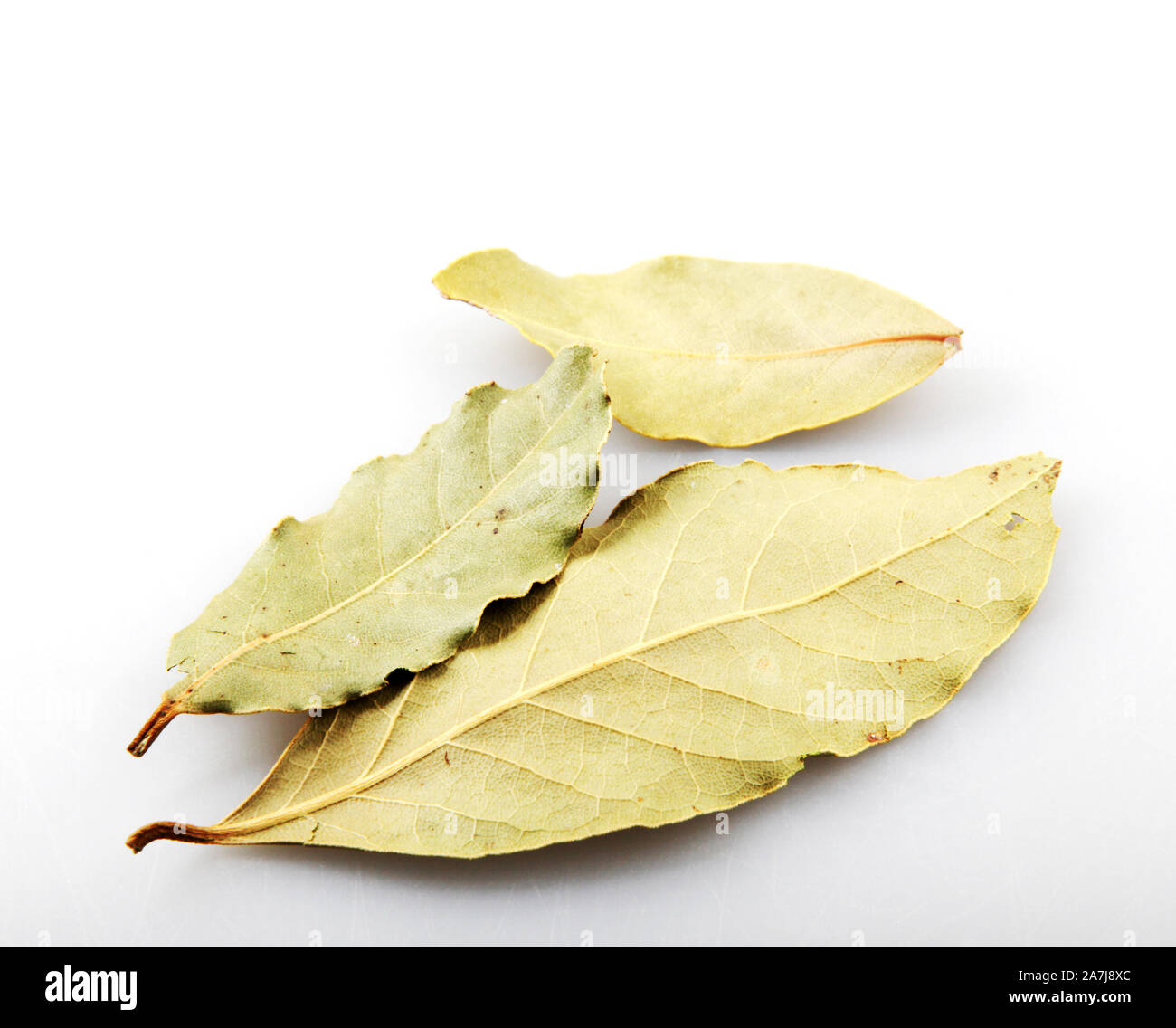 Dry bay leaf against white background. Laurus nobilis Stock Photo - Alamy