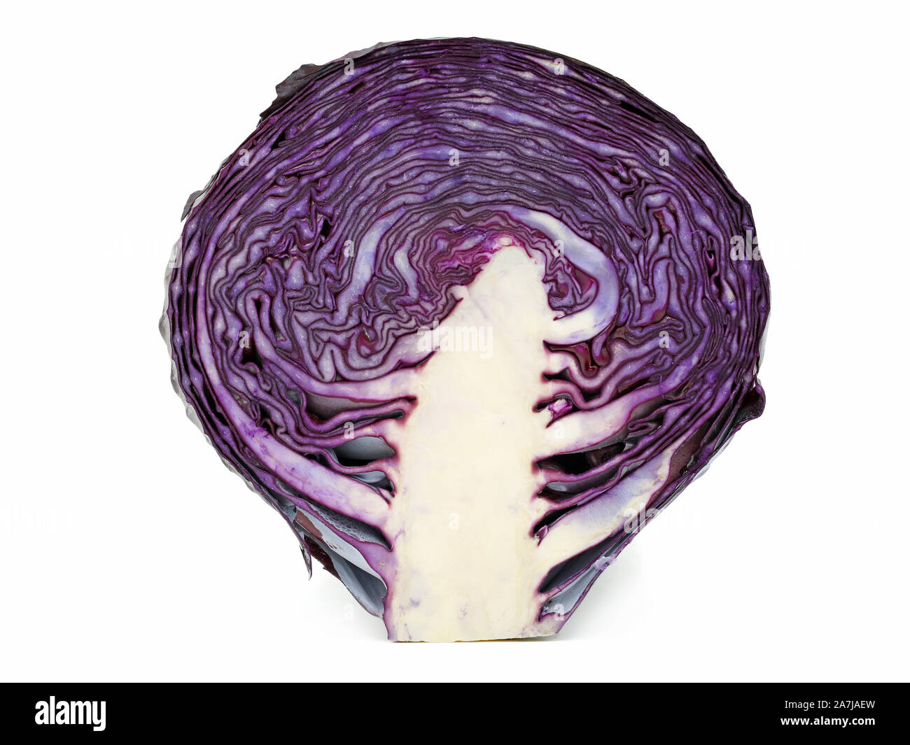 half red cabbage isolated on white background Stock Photo - Alamy