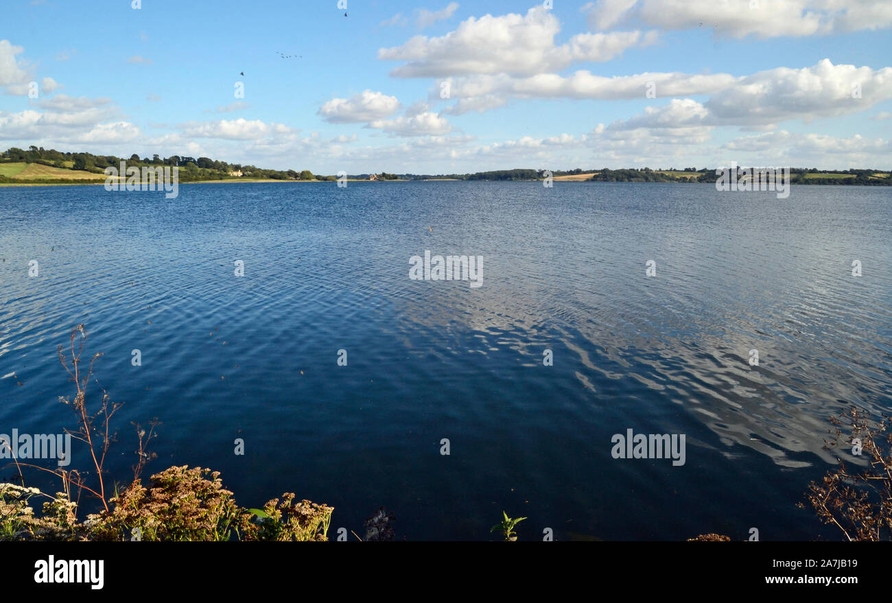 Rutland Water Nature Reserve, Rutland, England, UK Stock Photo - Alamy