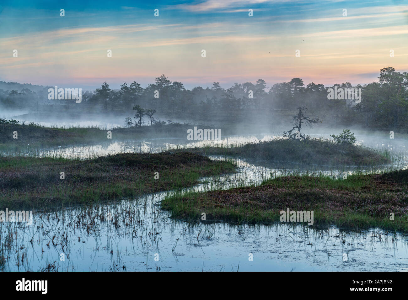 Sunrise in the bog landscape. Misty marsh, lakes nature environment ...