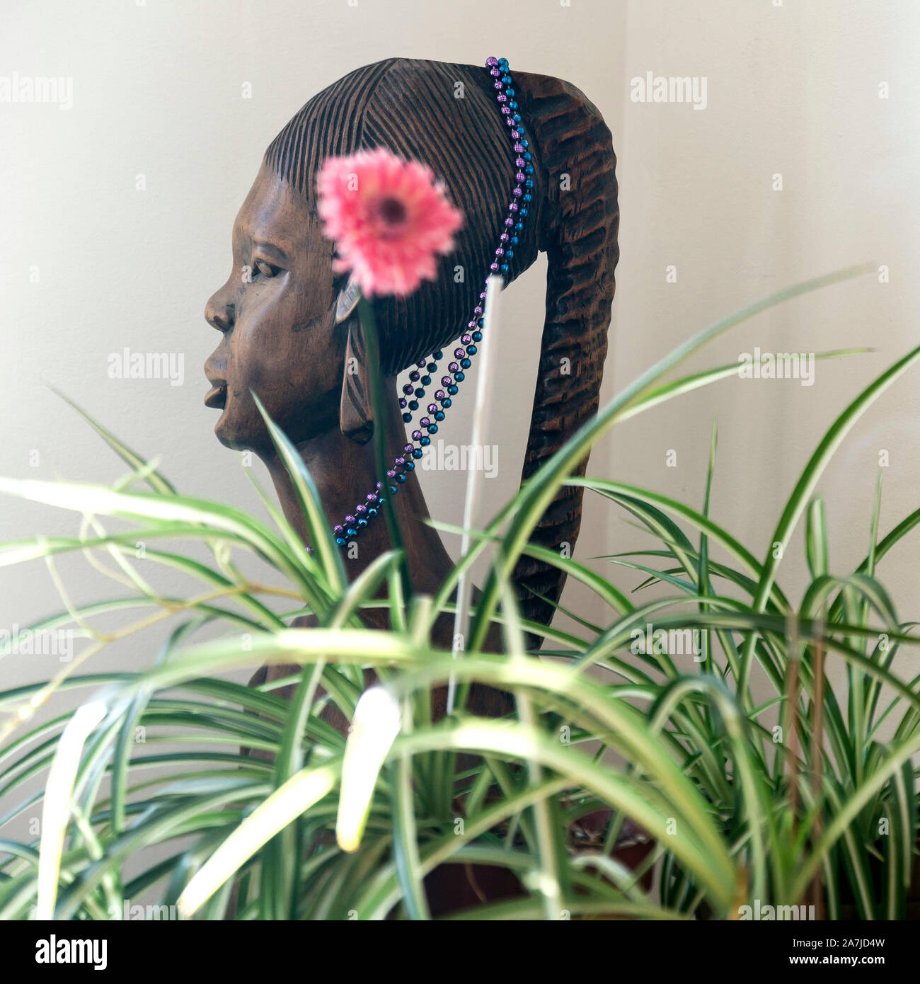 Plant head art hi-res stock photography and images - Alamy