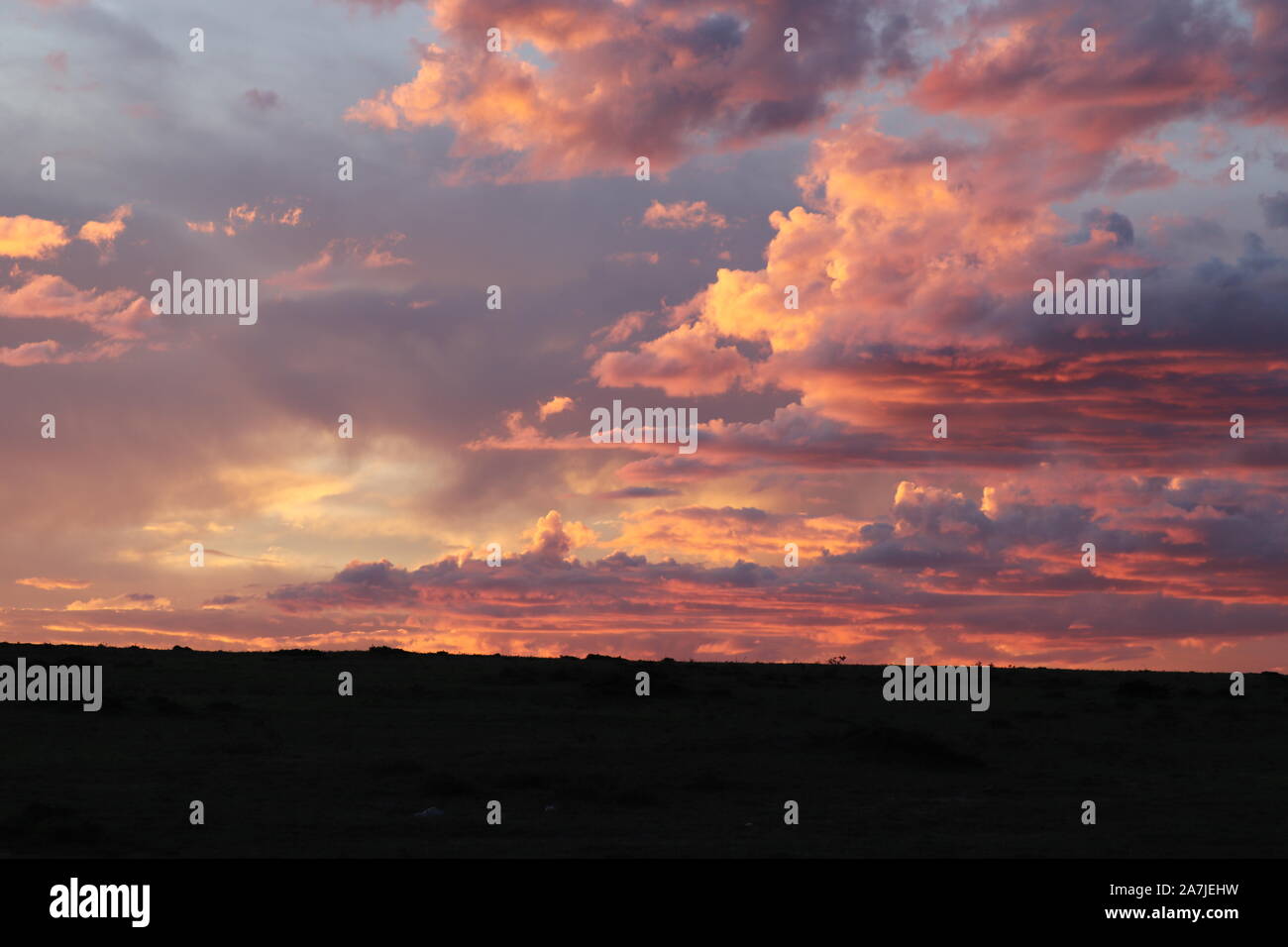 Africa pink sunset hi-res stock photography and images - Alamy