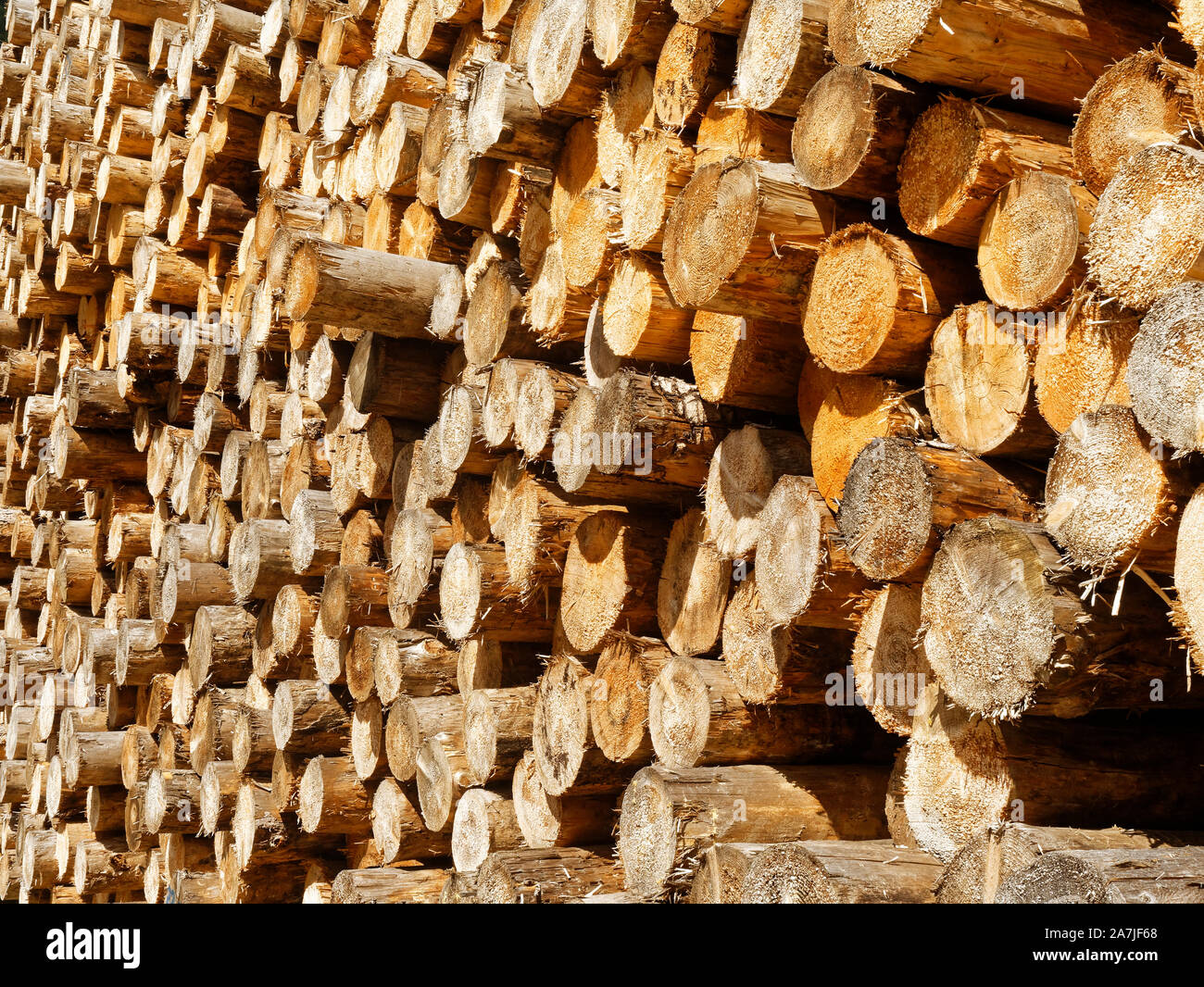 pile or stack of wood perspective view background Stock Photo - Alamy