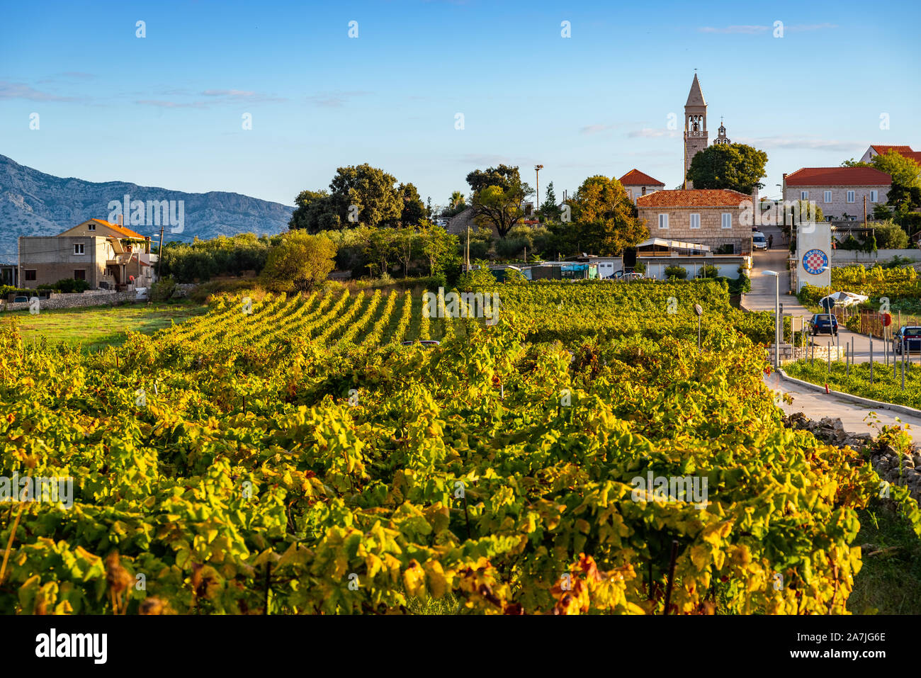 Lumbarda, island Korčula, Croatia Stock Photo - Alamy