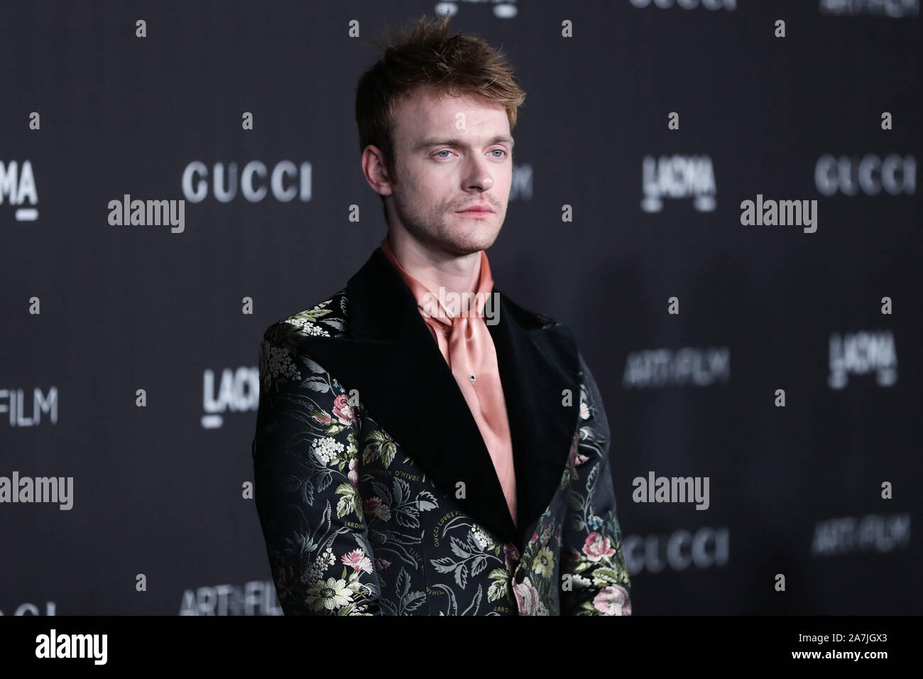 LOS ANGELES, CALIFORNIA, USA - NOVEMBER 02: Musician Finneas O'Connell ...