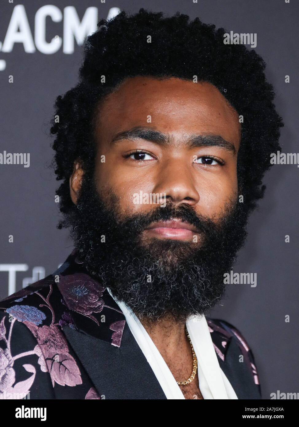 LOS ANGELES, CALIFORNIA, USA - NOVEMBER 02: Actor/musician Donald ...