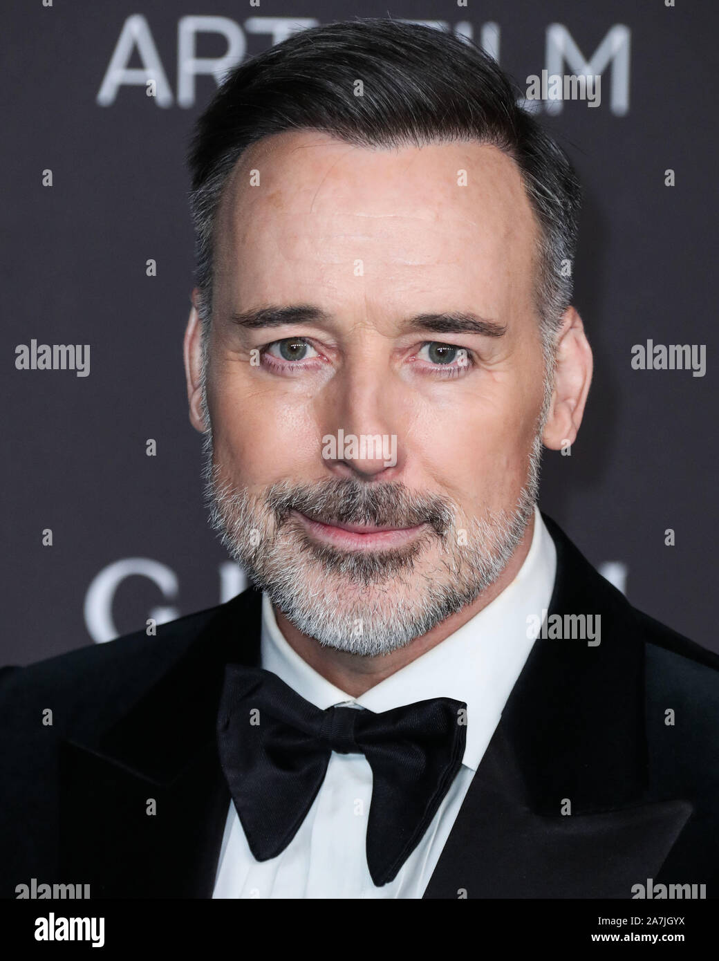 LOS ANGELES, CALIFORNIA, USA - NOVEMBER 02: David Furnish arrives at ...