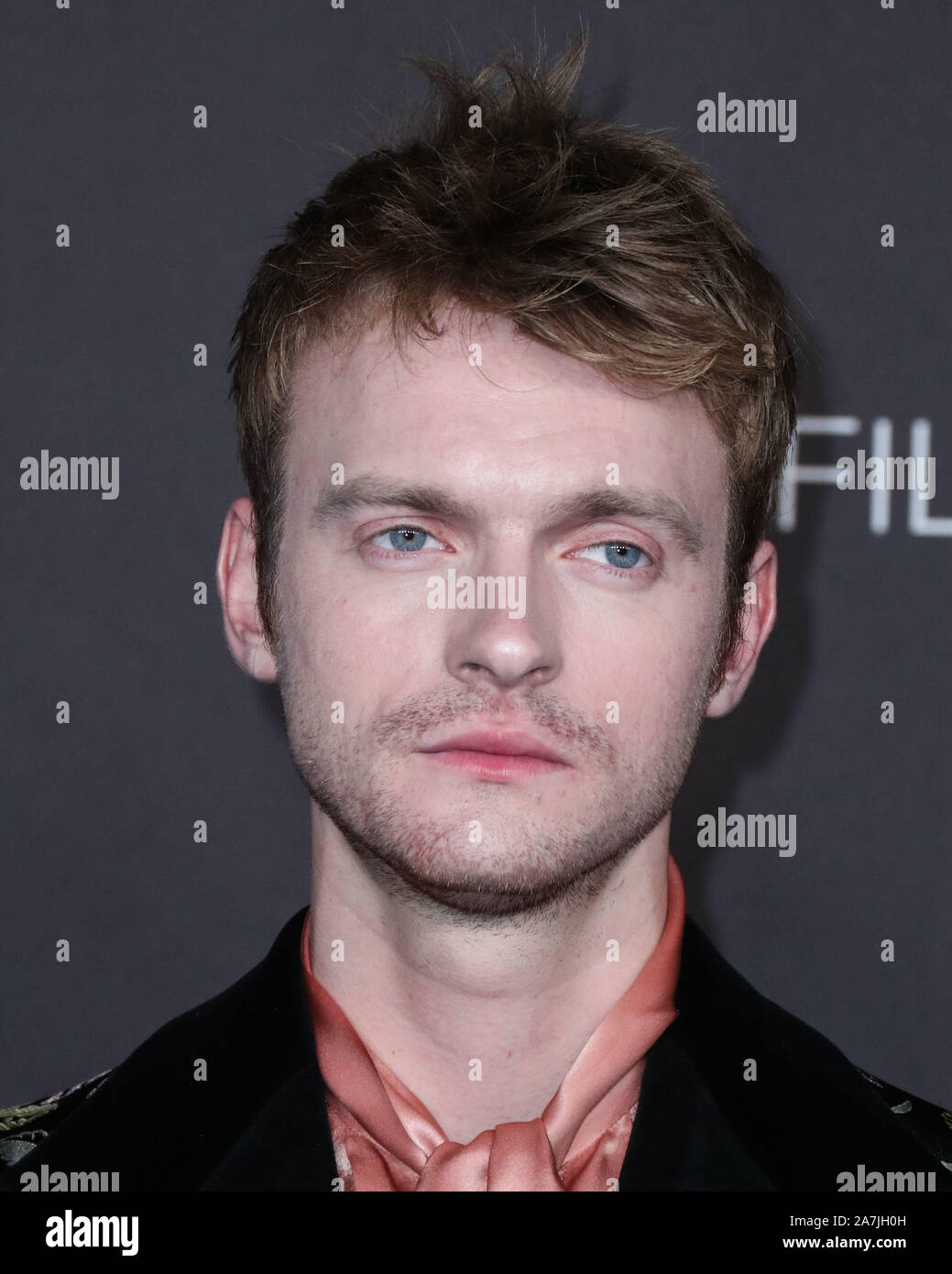 LOS ANGELES, CALIFORNIA, USA - NOVEMBER 02: Musician Finneas O'Connell ...