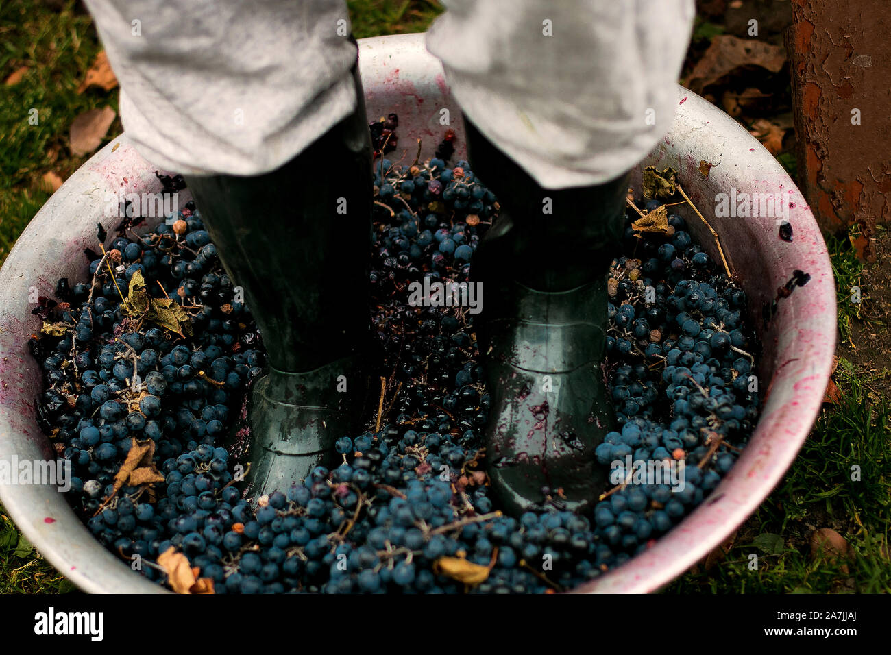 Grape press feet hi-res stock photography and images - Alamy