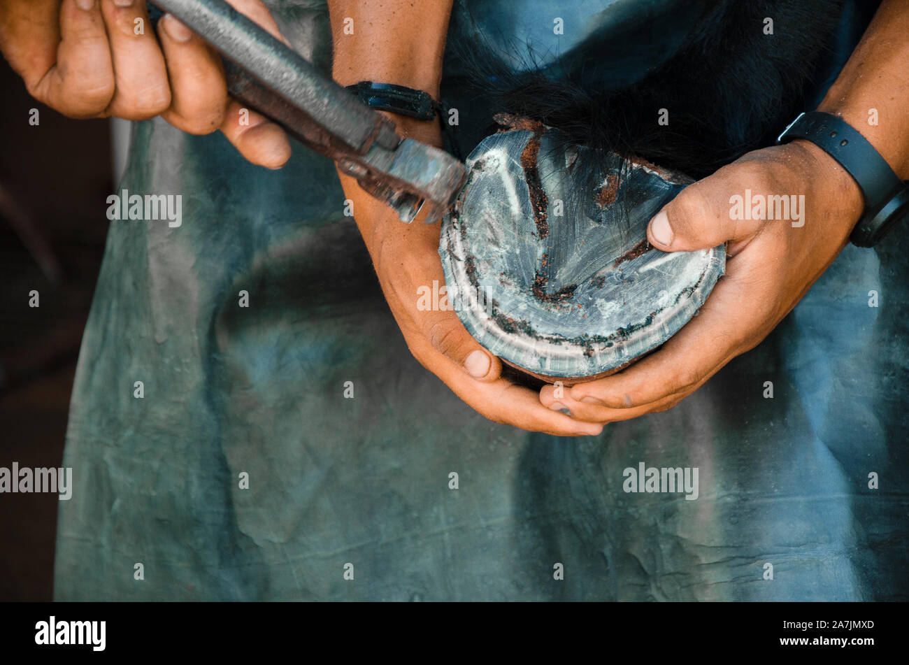 Black farrier hi-res stock photography and images - Alamy