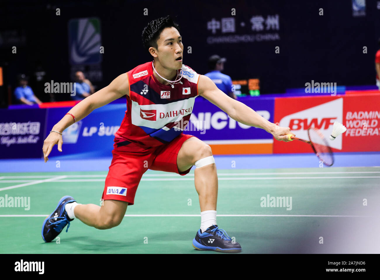 Professional Badminton Players