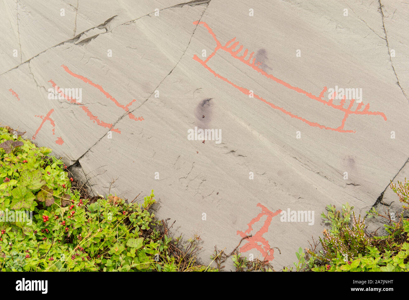 Rock art in Alta Fjord, Norway. Ancient symbols, real drawing, texture ...